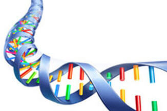 Attention deficit hyperactivity disorder in adults (adult ADHD ...