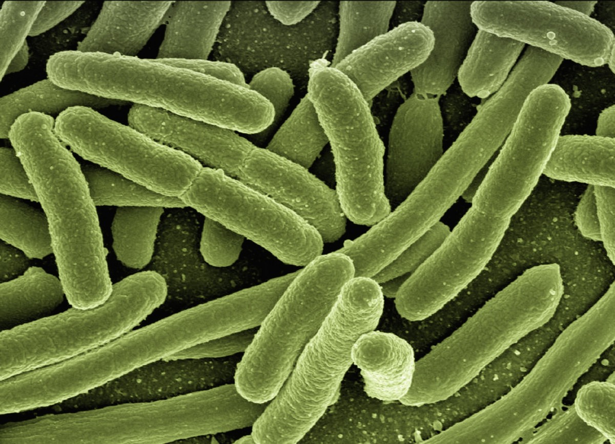 Urea Breath Test for Helicobacter pylori | Healthengine Blog